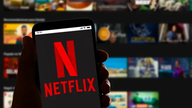 Netflix Cybersecurity – Has Someone Taken Out a Subscription Against ...